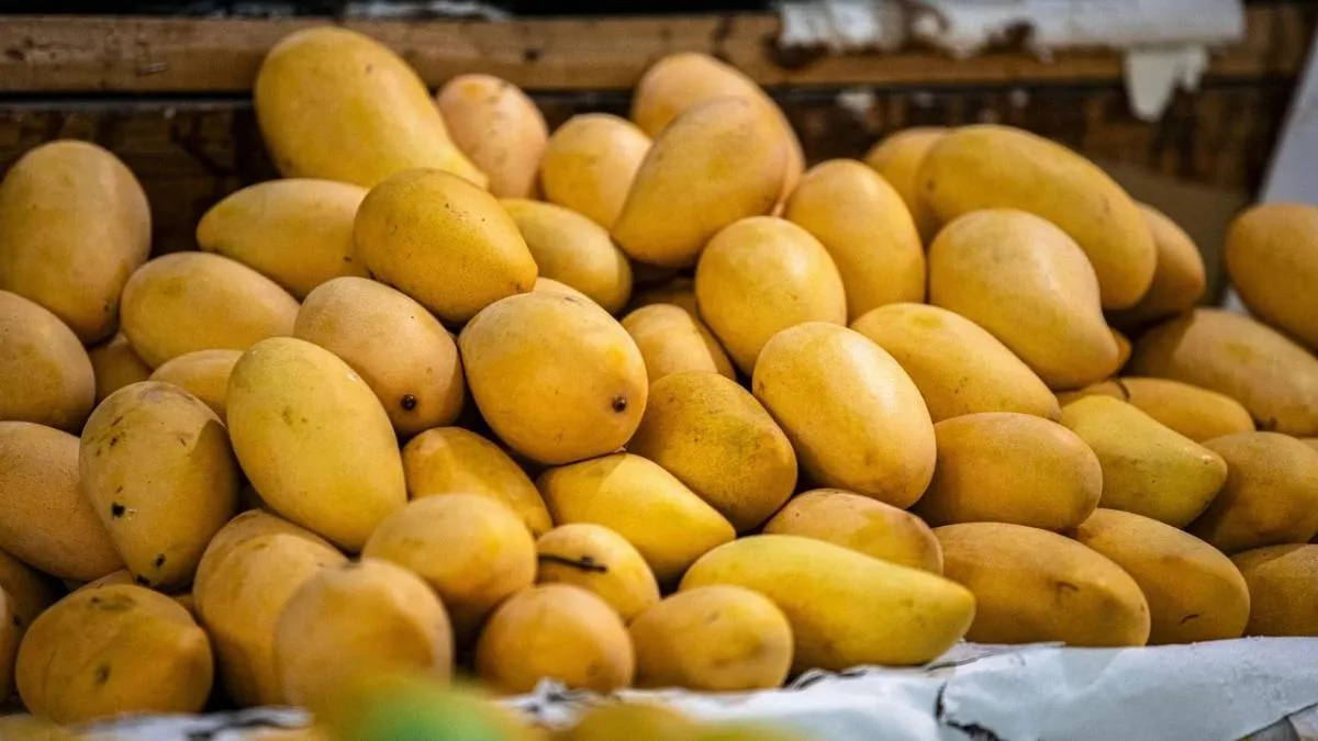 How Mango Helps Improve Vision and Boost Immunity - MYHEALTHCOP
